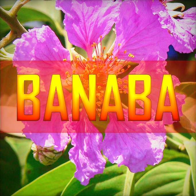 ANTI-OBESITY – SUPERLATIVEFORMULAS.COM