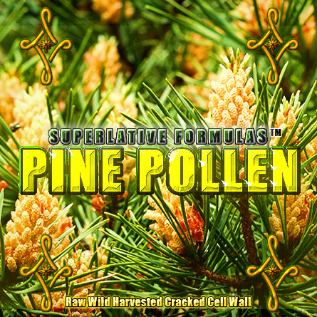 PINE POLLEN – SUPERLATIVEFORMULAS.COM