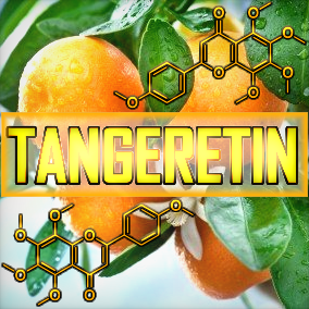 INGREDIENTS – SUPERLATIVEFORMULAS.COM